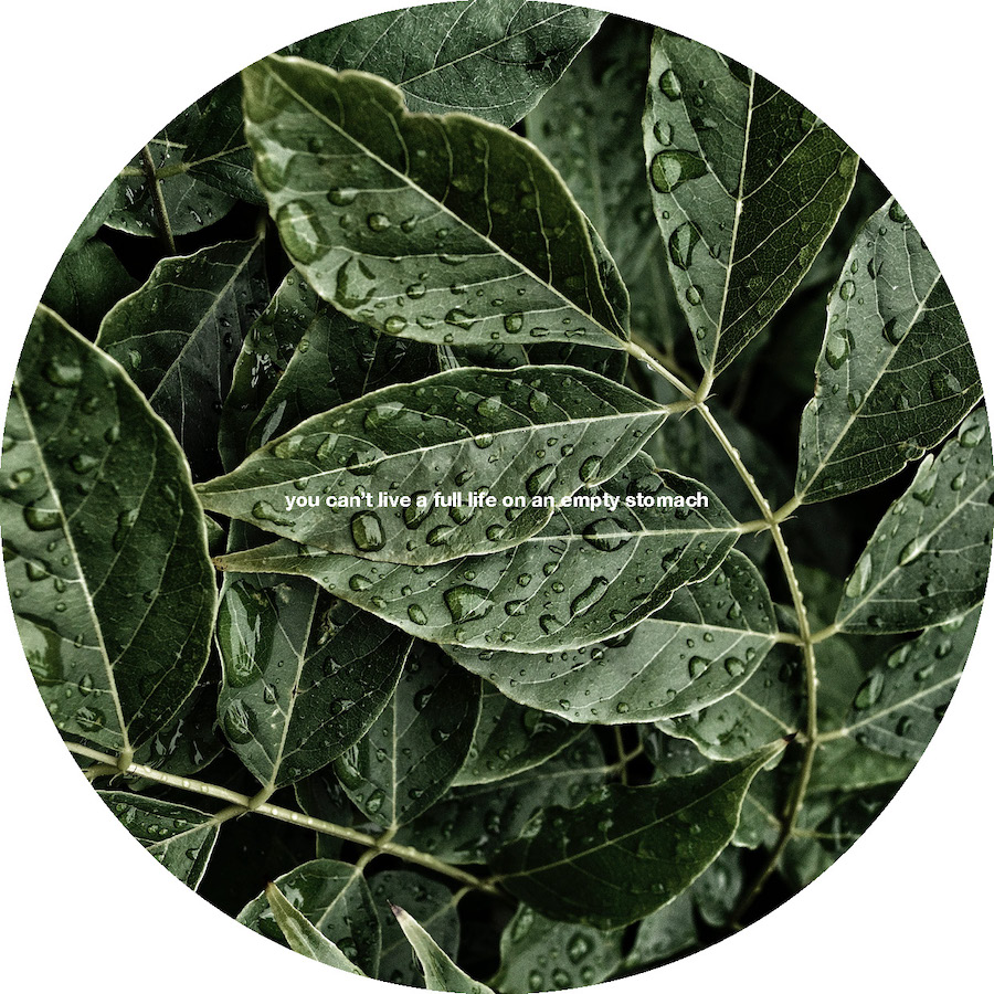 Menu - Seafood, Vegetarian, Vegan & More - Pear Tree Restaurant